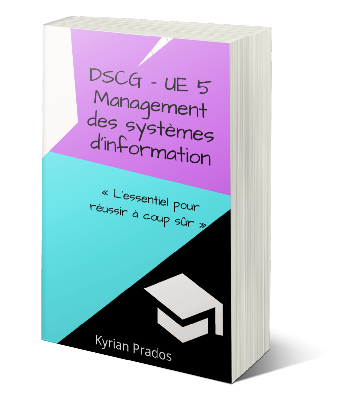 DSCG - UE 5 - Management des systèmes d'information - Réussir-DCG-DSCG